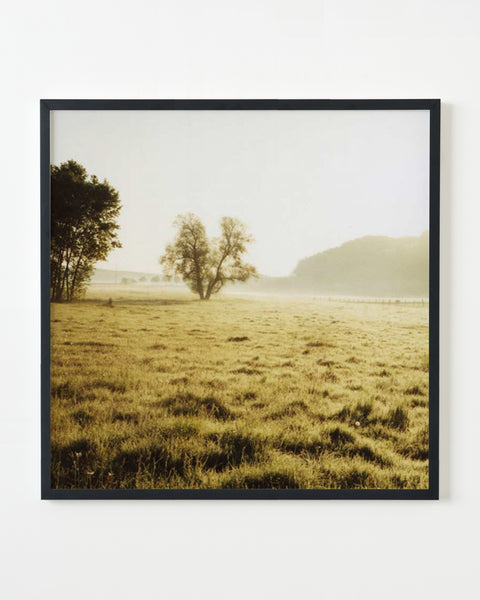 Luxembourg View | Anna Moller | Buy Original Art Online | Uprise Art