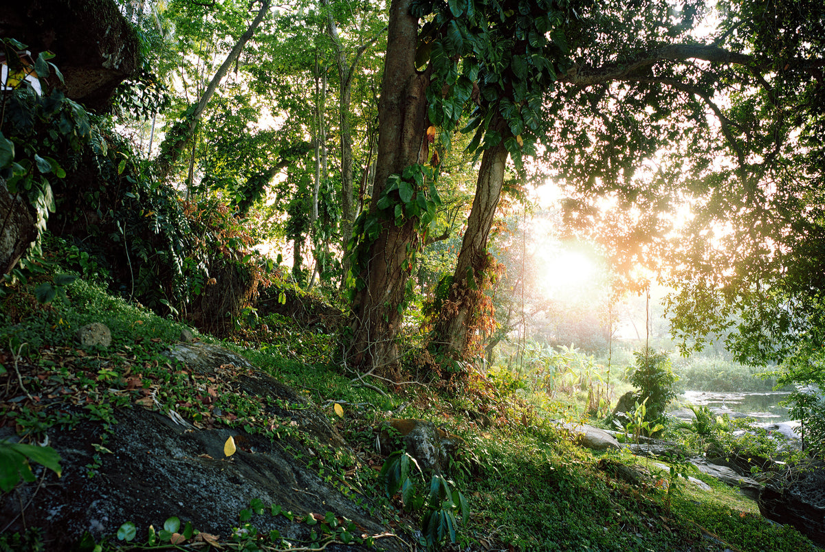 Time for breath | Anna Moller | Buy Original Art Online | Uprise Art