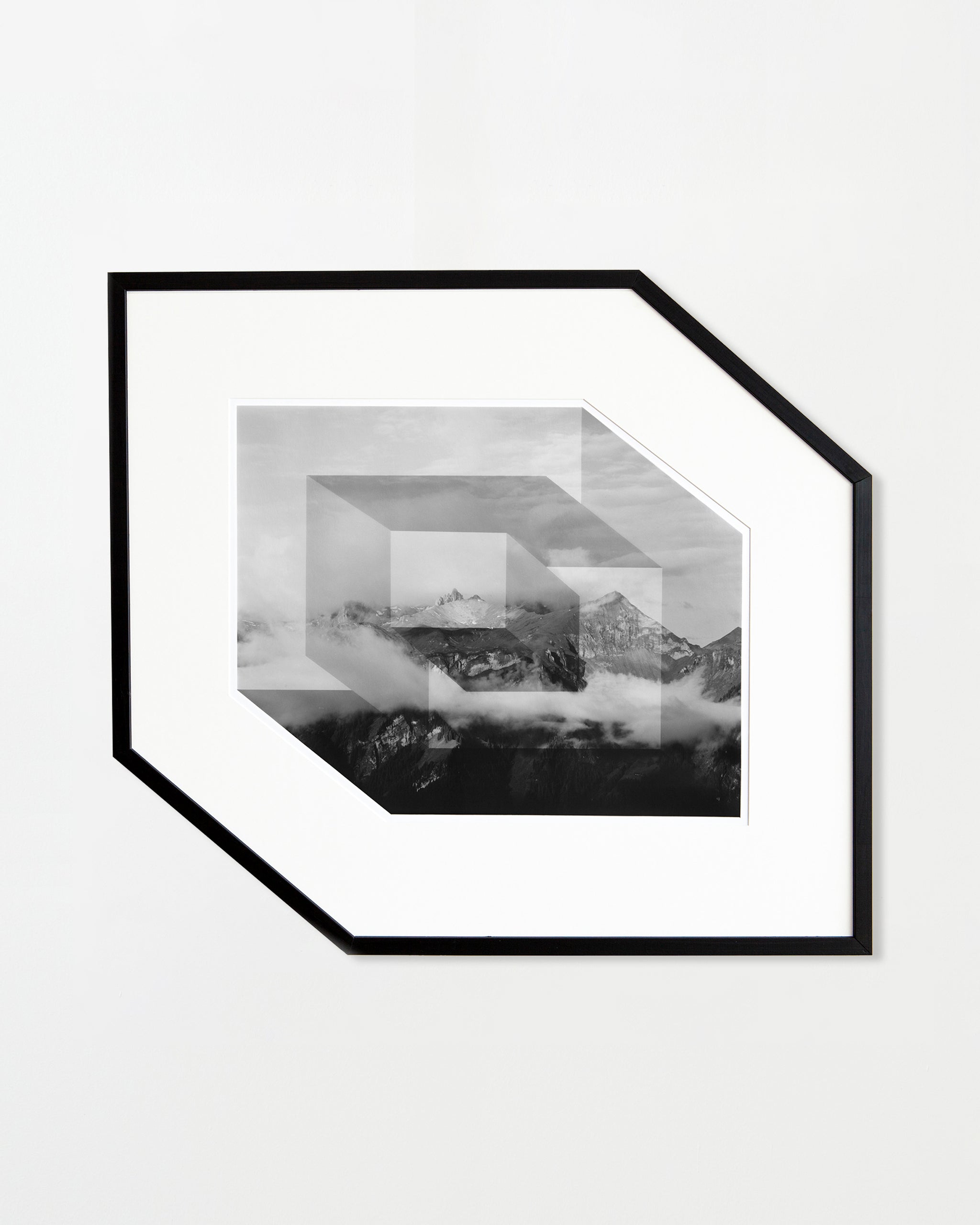 Transfrontalier | Millee Tibbs | Buy Original Art Online | Uprise Art