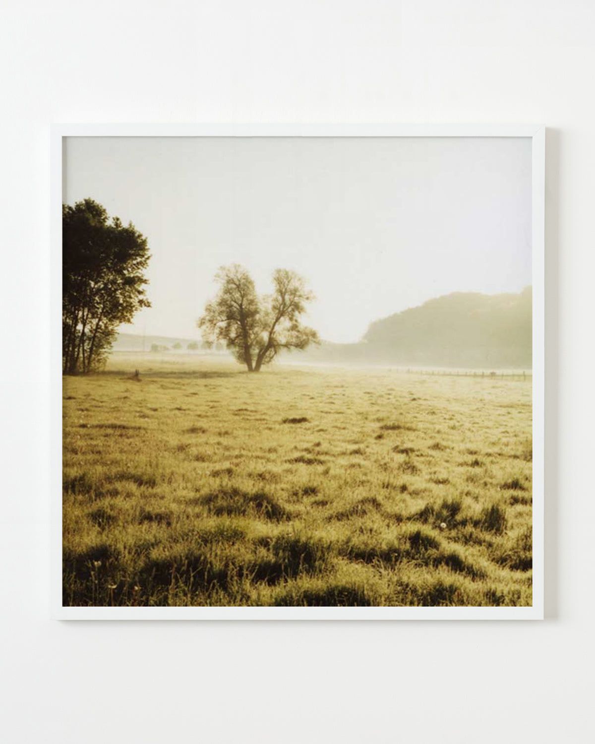 Luxembourg View | Anna Moller | Buy Original Art Online | Uprise Art