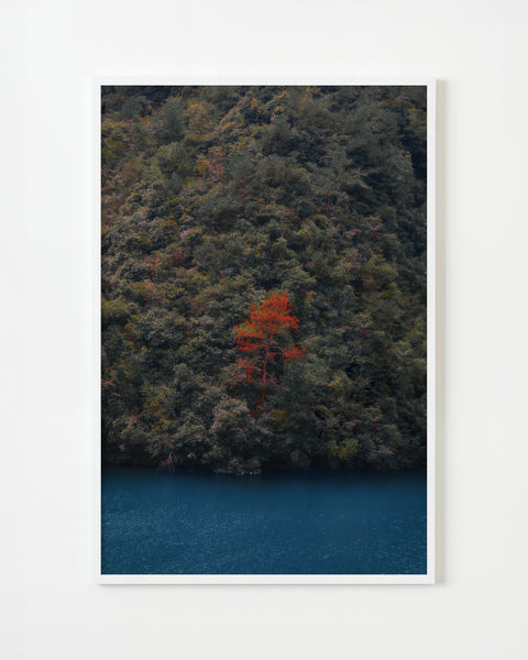 Red Tree | Jordan Sullivan | Buy Original Art Online | Uprise Art