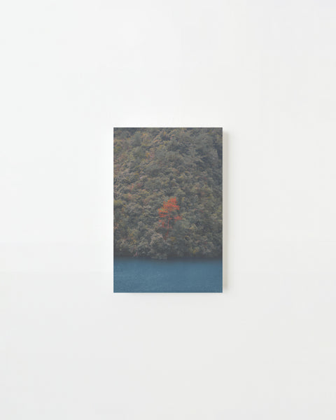 Red Tree | Jordan Sullivan | Buy Original Art Online | Uprise Art