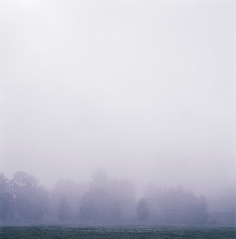 Long Way Home 2 | Anna Moller | Buy Original Art Online | Uprise Art