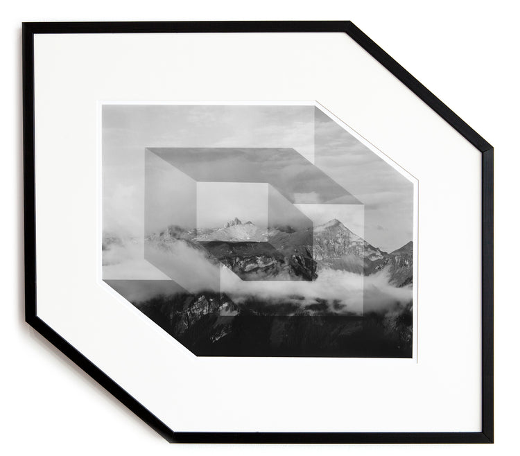 Transfrontalier | Millee Tibbs | Buy Original Art Online | Uprise Art