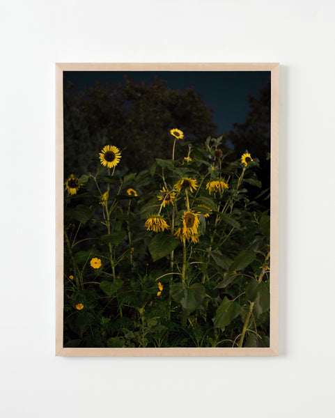 Midnight in the Garden #123 | Anna Beeke | Buy Original Art Online ...