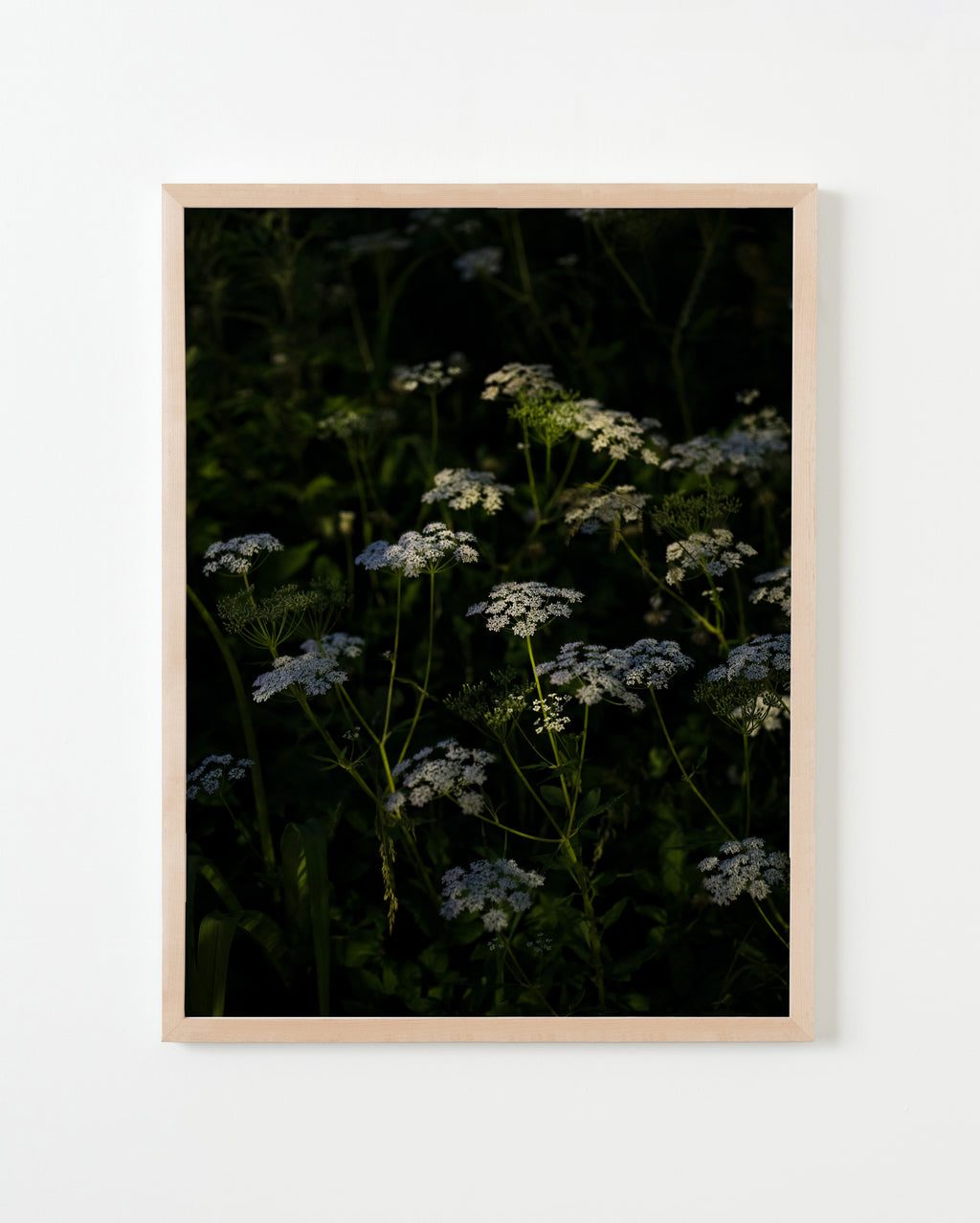Midnight in the Garden #184 | Anna Beeke | Buy Original Art Online ...