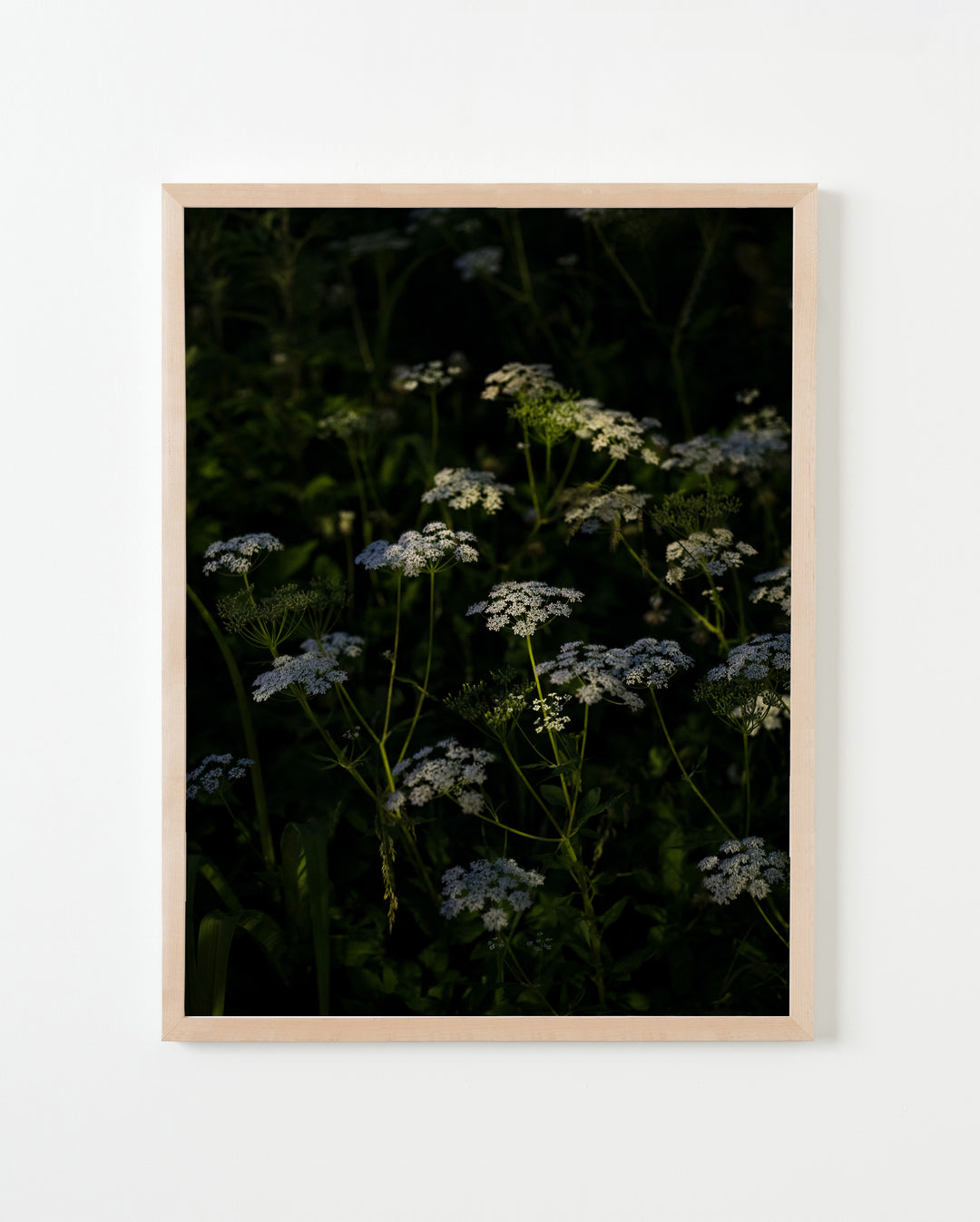 Midnight in the Garden #184 | Anna Beeke | Buy Original Art Online ...
