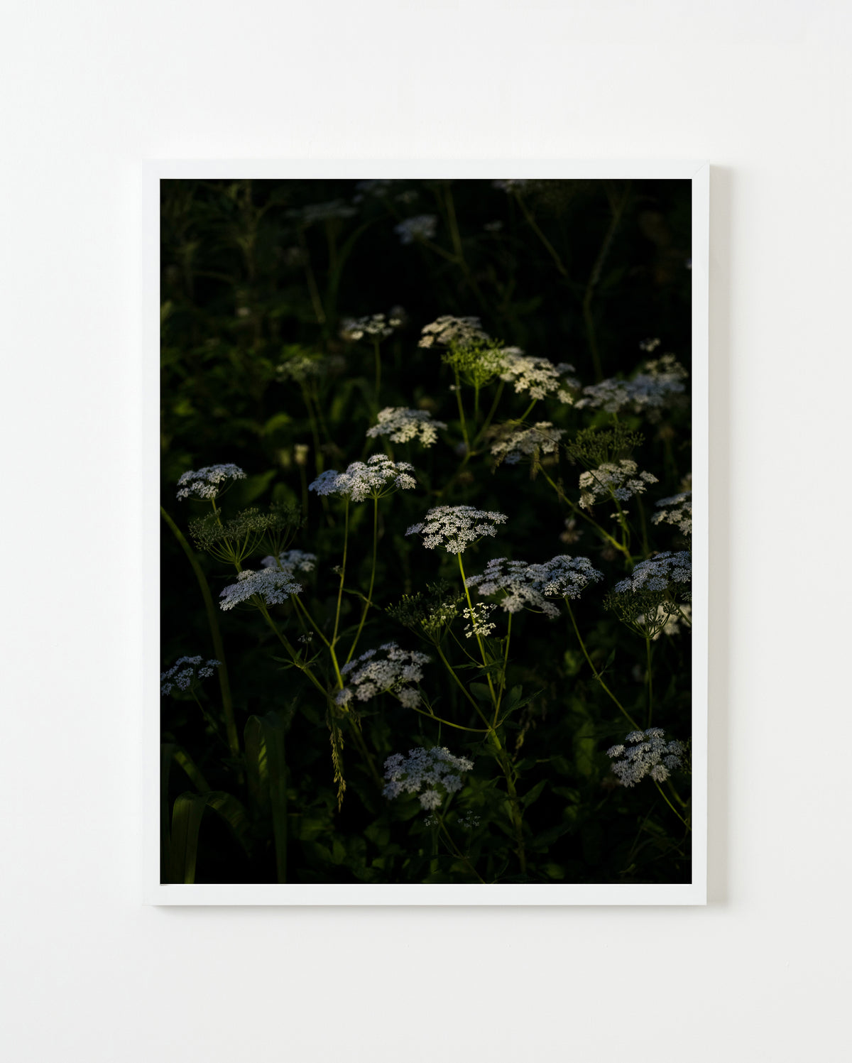 Midnight in the Garden #184 | Anna Beeke | Buy Original Art Online ...