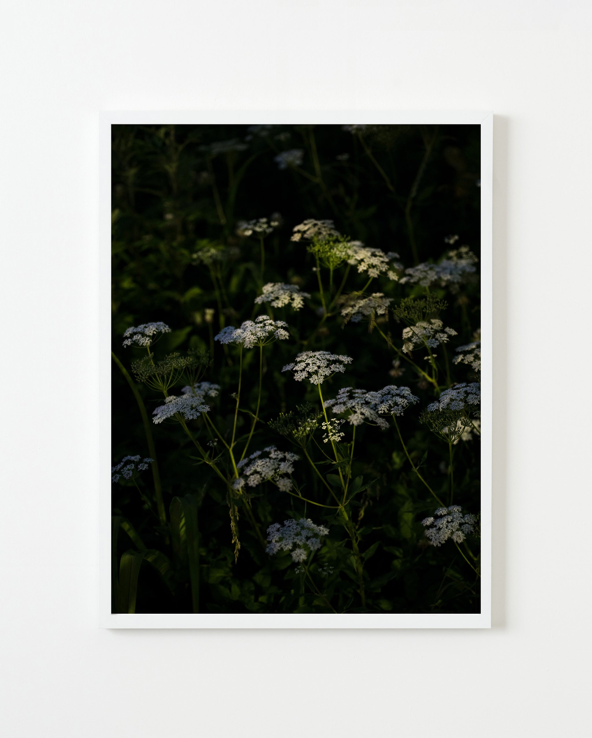 Midnight in the Garden #184 | Anna Beeke | Buy Original Art Online ...