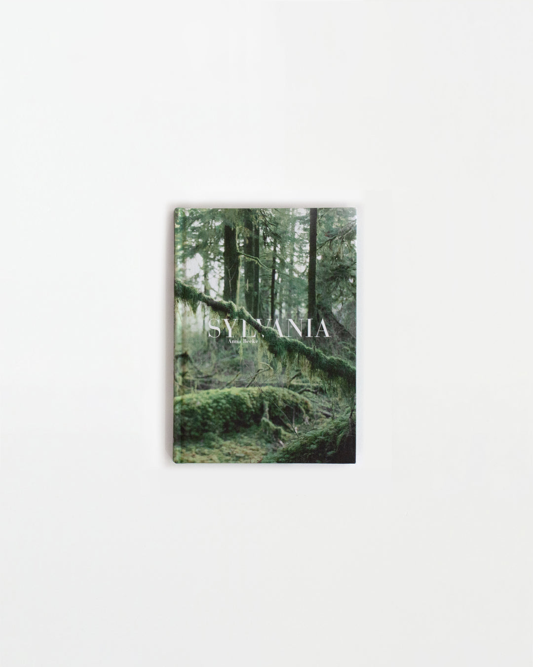 Sylvania | Anna Beeke | Buy Original Art Online | Uprise Art