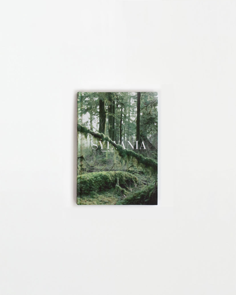Sylvania | Anna Beeke | Buy Original Art Online | Uprise Art