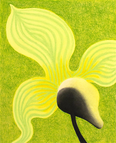 Orquídea | Rachel Levit Ruiz | Buy Original Art Online | Uprise Art